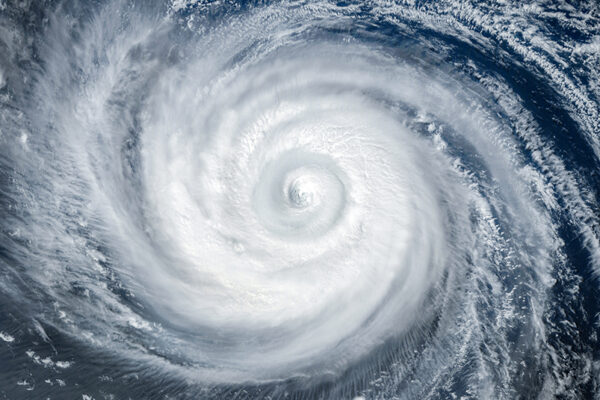 Buying Guides - Quill Blog