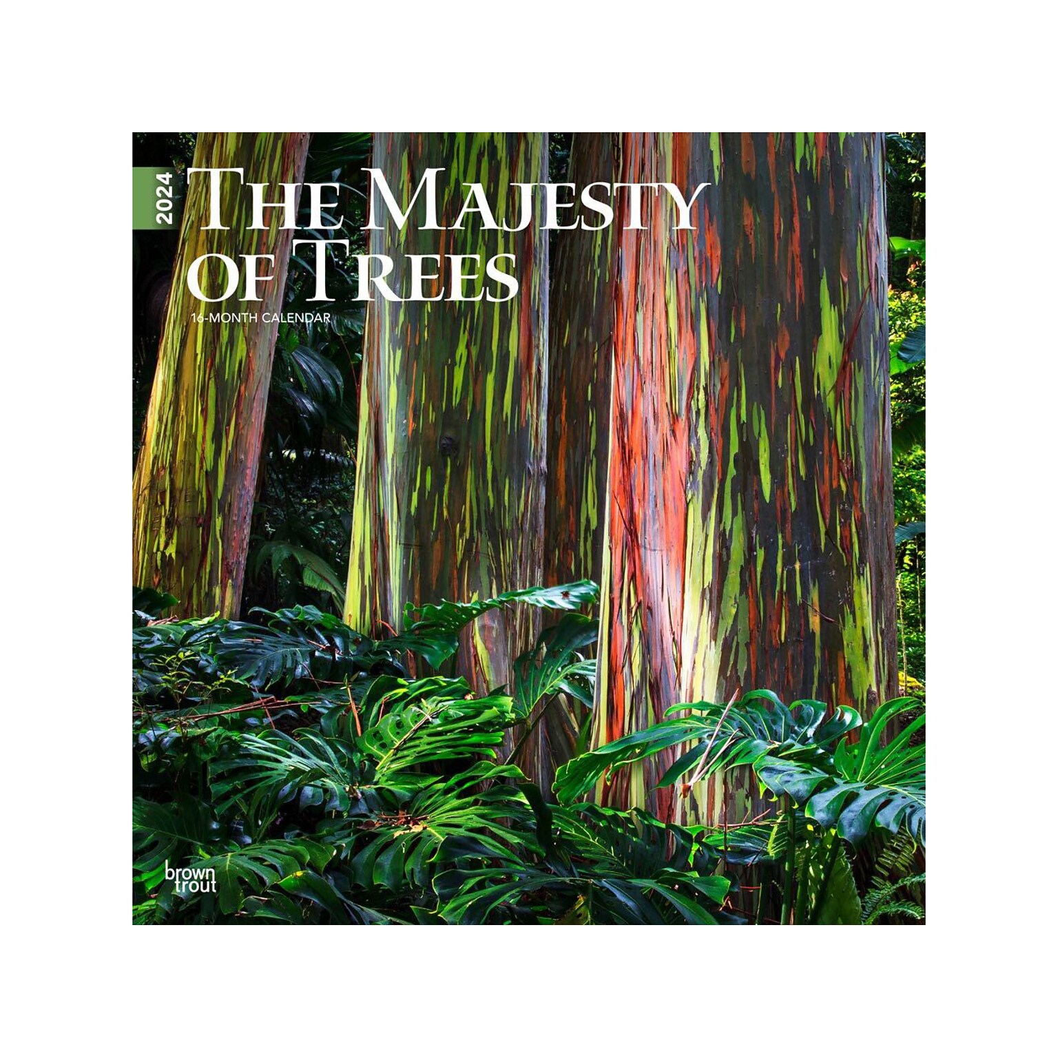 2024 BrownTrout The Majesty of Trees 12" x 12" Monthly Wall Calendar ...
