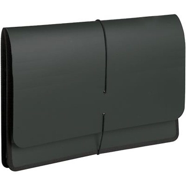 Quill Brand® Poly Expanding Wallet, Flap and Cord Closure, Legal Size ...