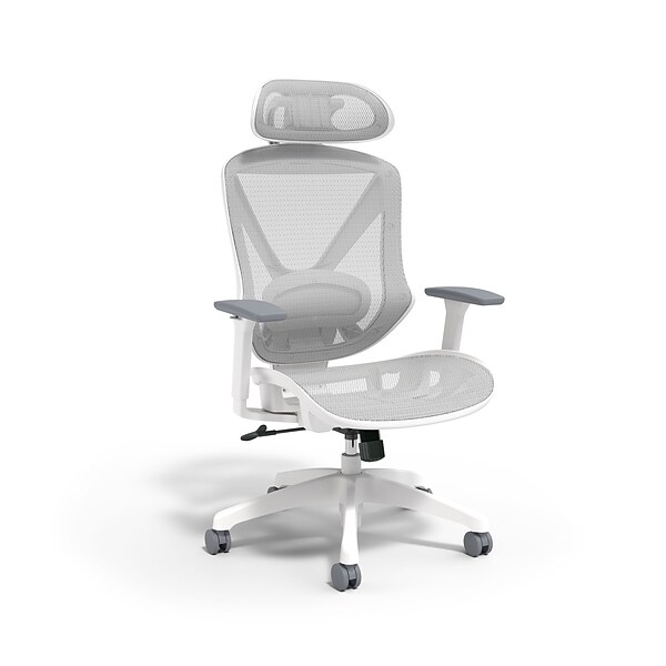 Staples Dexley Ergonomic Mesh Swivel Task Chair, Gray (UN61365) | Quill.com