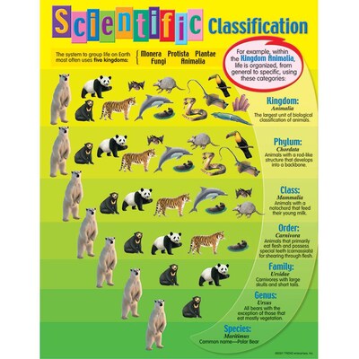 Scientific Classification Learning Chart | Quill.com