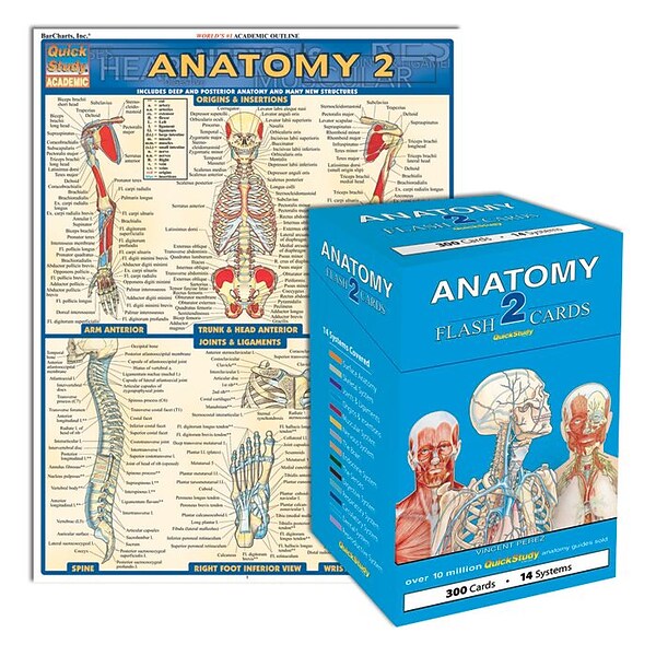 QuickStudy Anatomy 2 Flashcard & Reference Set, 2nd Edition (2498000) | Quill.com
